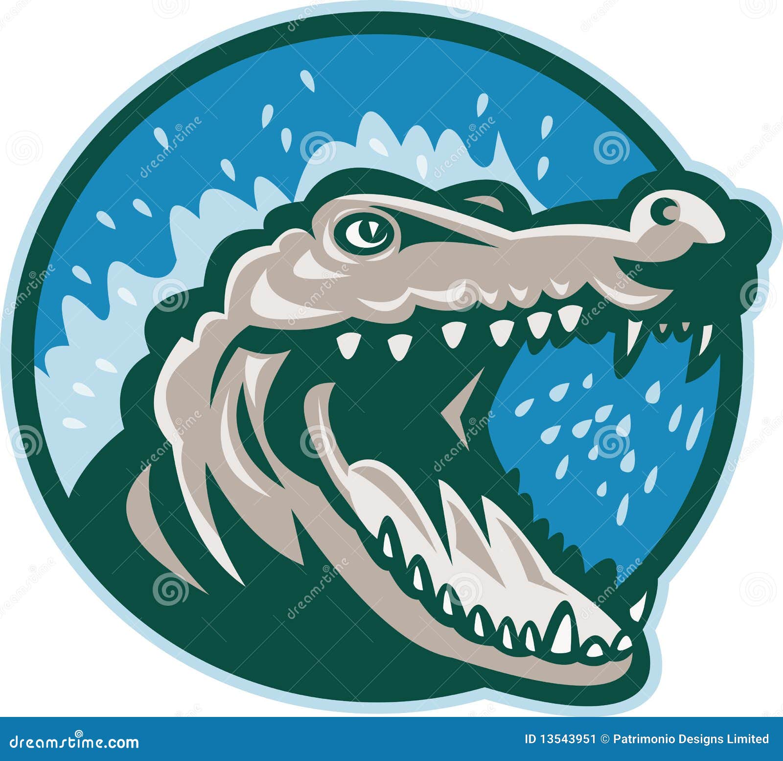 Alligator Head Vector Clipart Set - Outline, Silhouette And Color ...