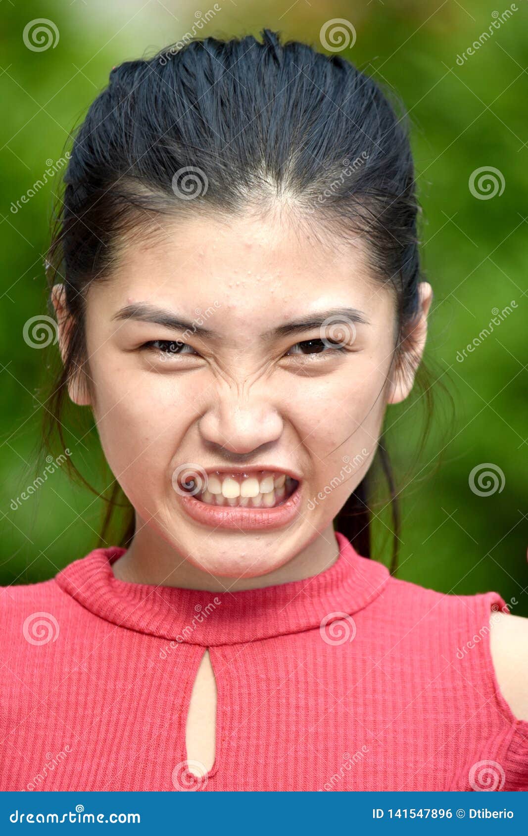 An Angry Cute Juvenile stock photo. Image of anger, emotional - 141547896