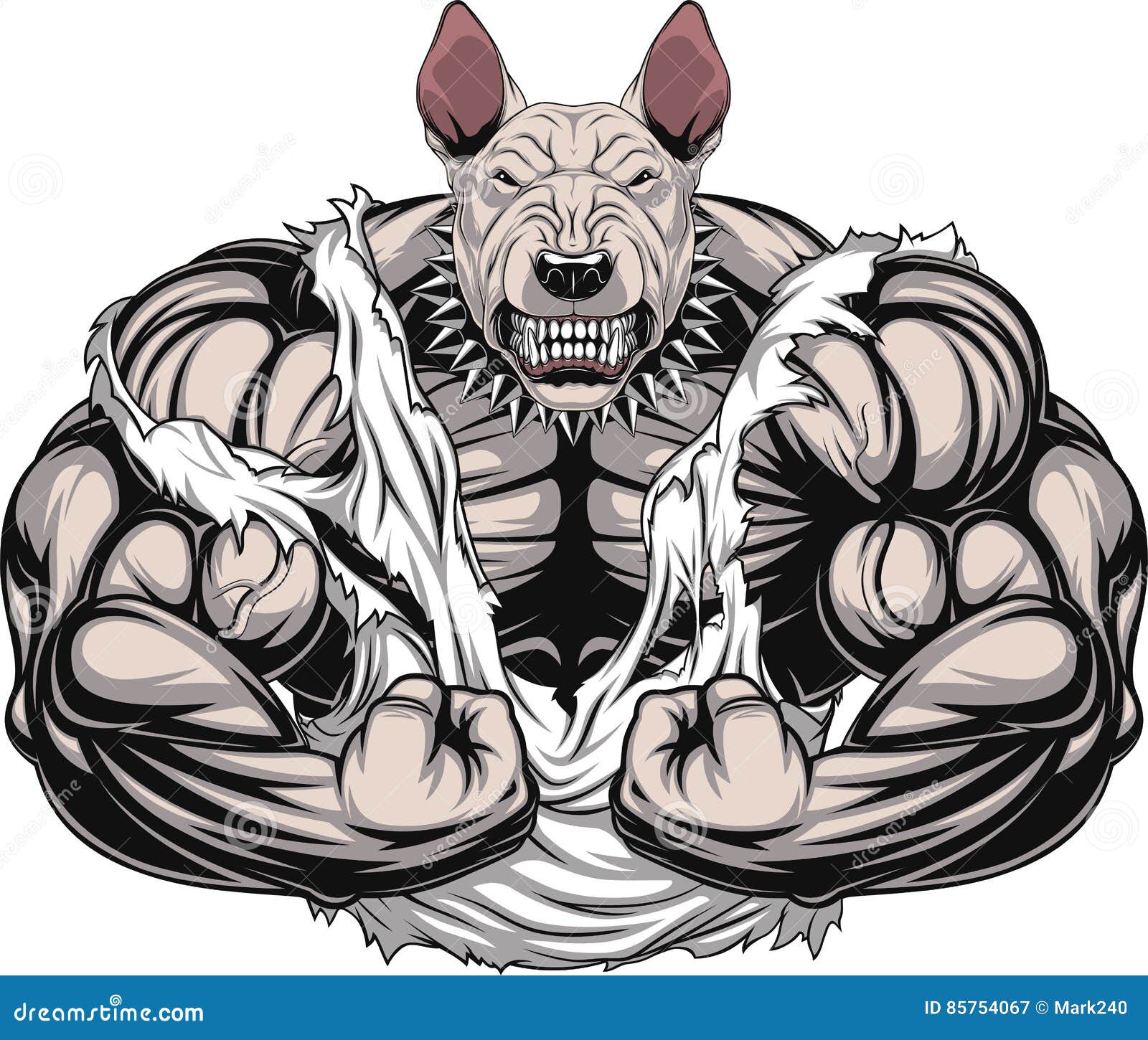Angry Dog Bodybuilder Cartoon Vector | CartoonDealer.com #85754275