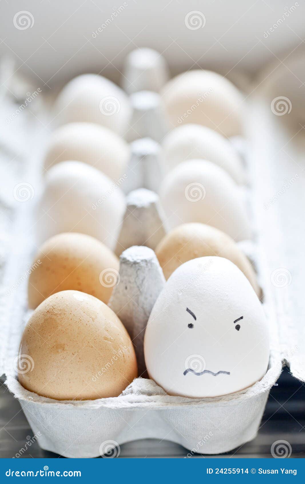 Angry egg in a carton stock photo. Image of food, carton - 24255914