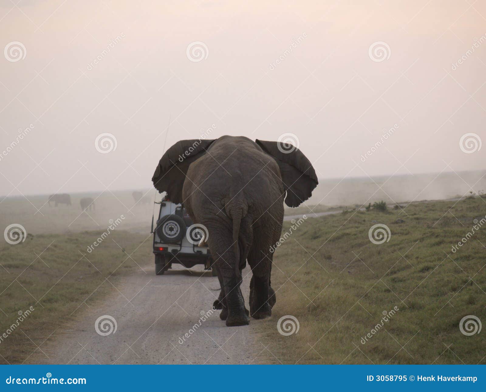 Elephant Chasing Kudu Away From Waterhole In Hwange National Park ...