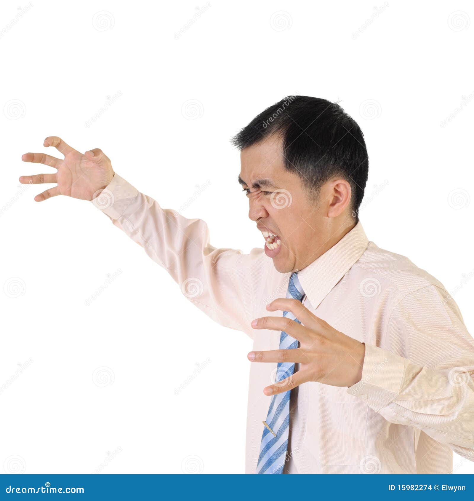 Angry executive stock photo. Image of executive, eastern - 15982274