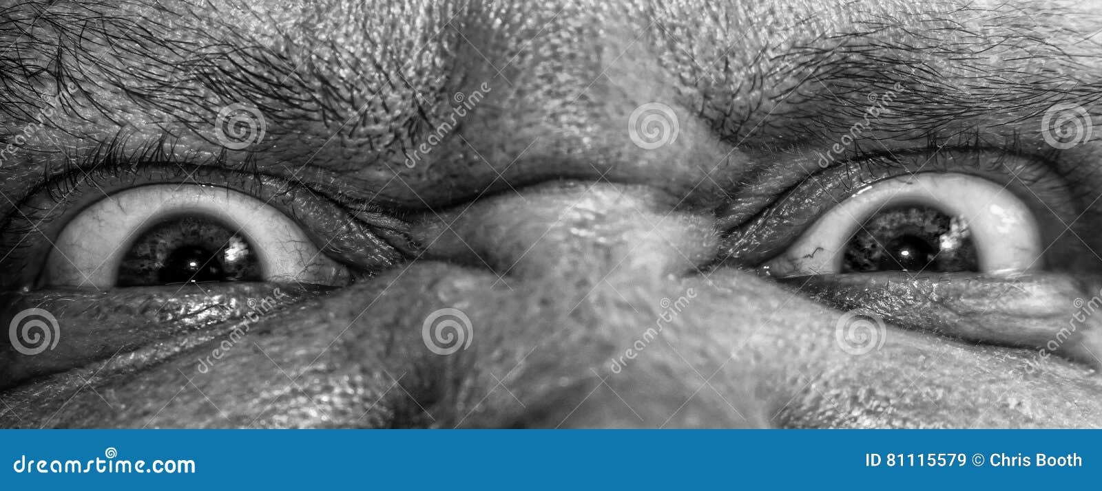 Angry Eyes stock image. Image of white, eyebrows, background - 81115579