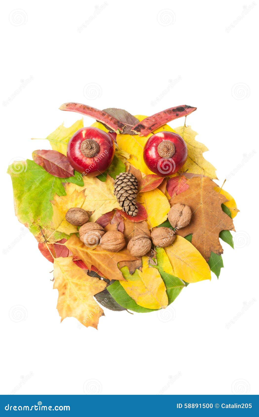 Angry Face Made of Autumn Fall Leaves and Fall Decorations Stock Photo ...