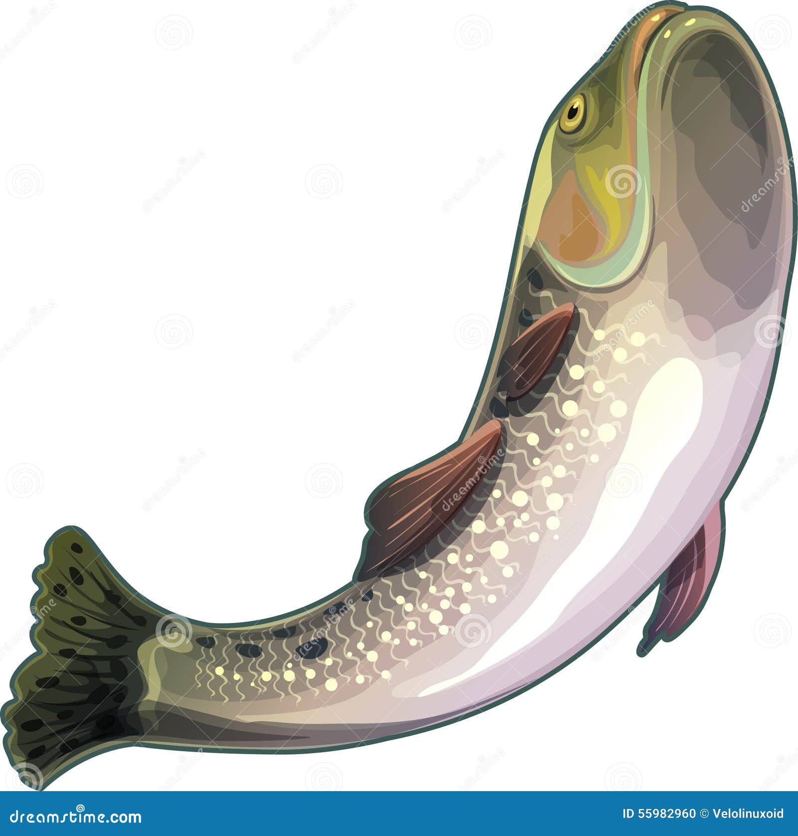 Angry Catfish Bike Shop