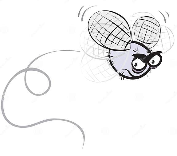 Angry fly stock vector. Illustration of cartoon, pest - 20025414