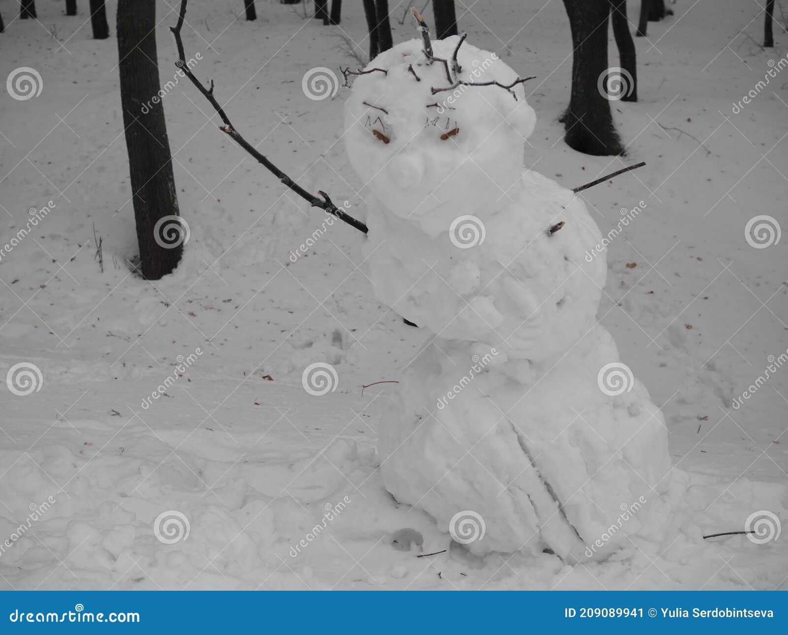 Angry Funny Snow Man on Winter Day in the Forest Stock Image - Image of ...