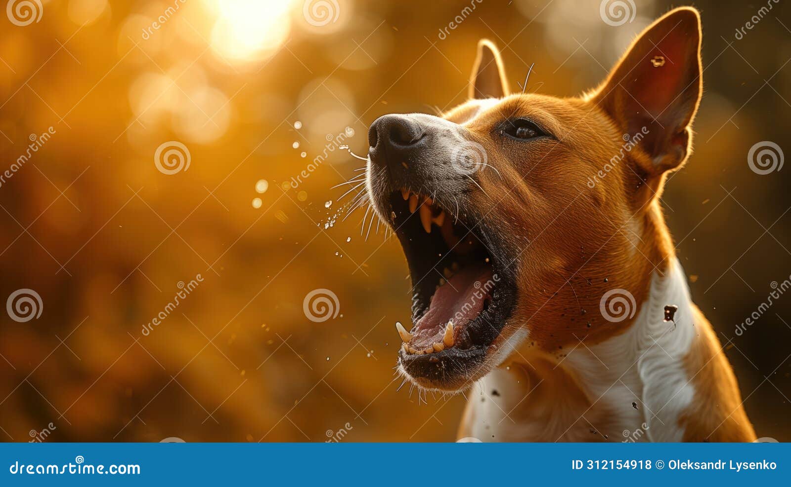 Angry, Growling Terrier Portrait Stock Illustration - Illustration of ...
