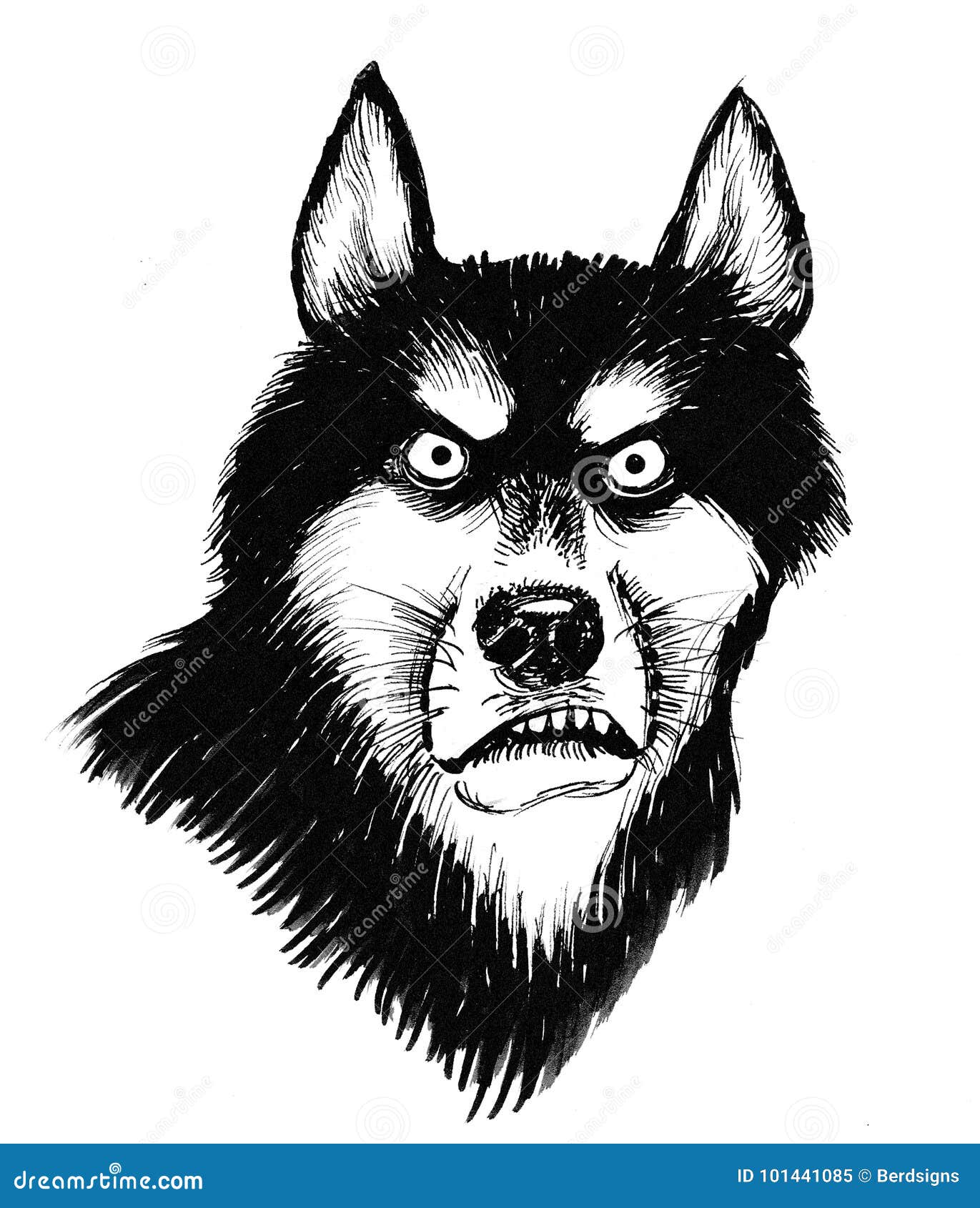 Angry husky stock illustration. Illustration of white - 101441085