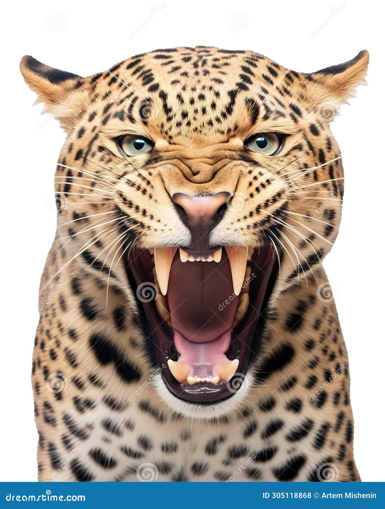 Angry Leopard Head Mascot Cartoon Vector | CartoonDealer.com #130154139