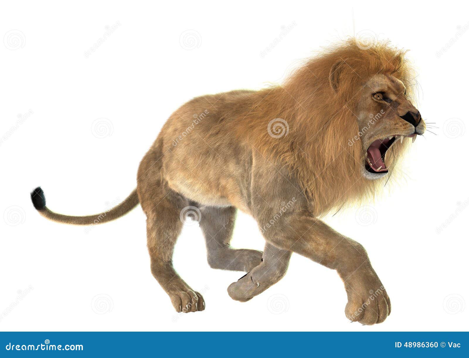 106 Angry Lion Attack Photos - Free & Royalty-Free Stock Photos from ...