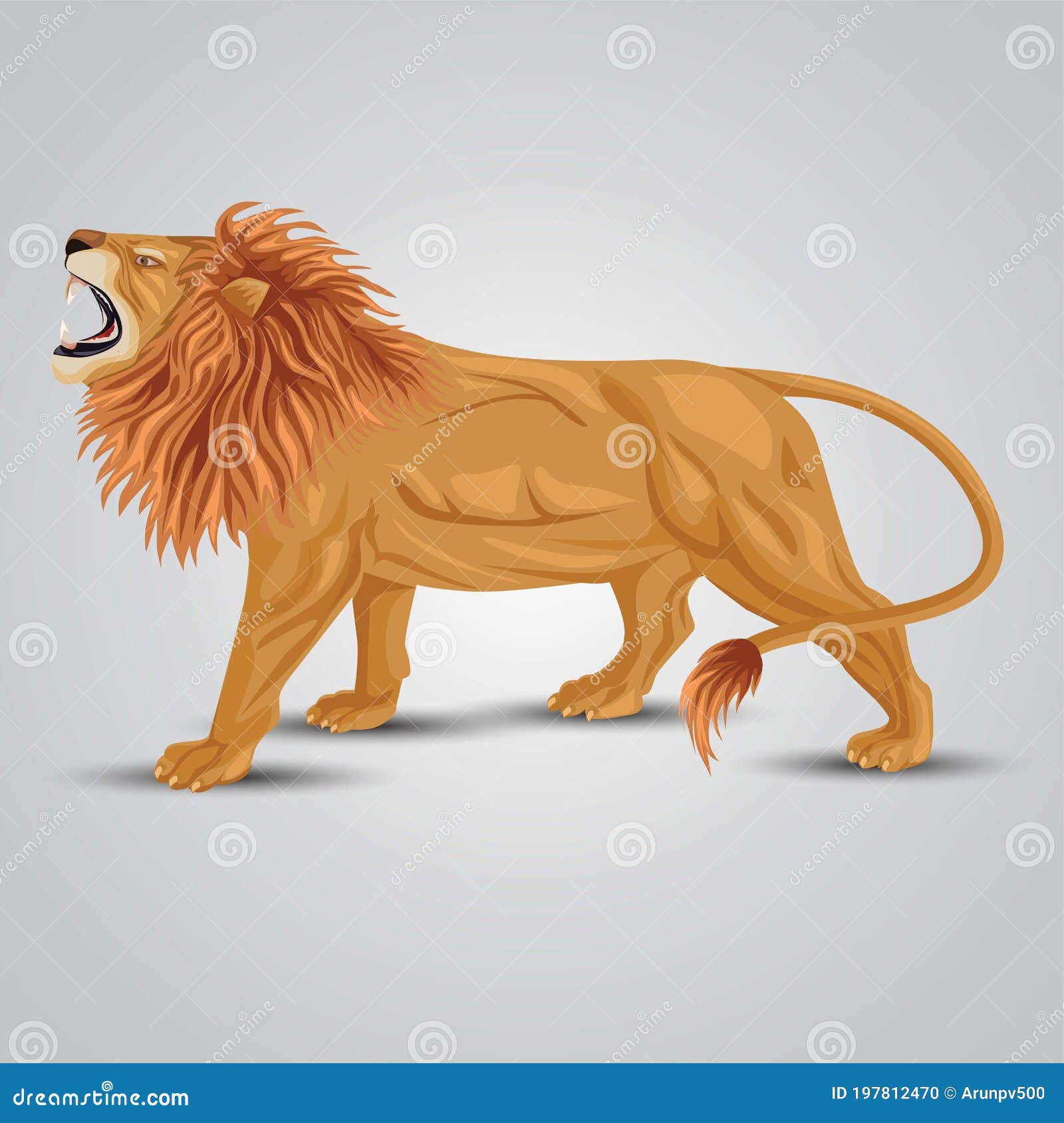 Angry Lion Side View Isolated White Background. Vector Illustration ...