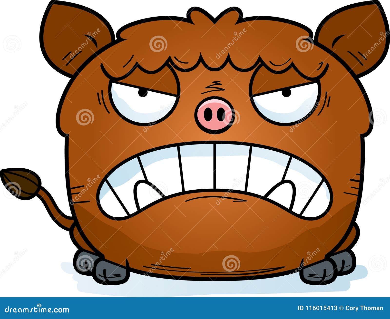 Angry Little Boar stock vector. Illustration of animal - 116015413