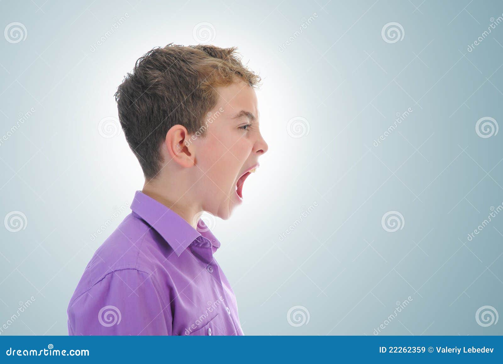 Angry little boy stock image. Image of isolated, face - 22262359