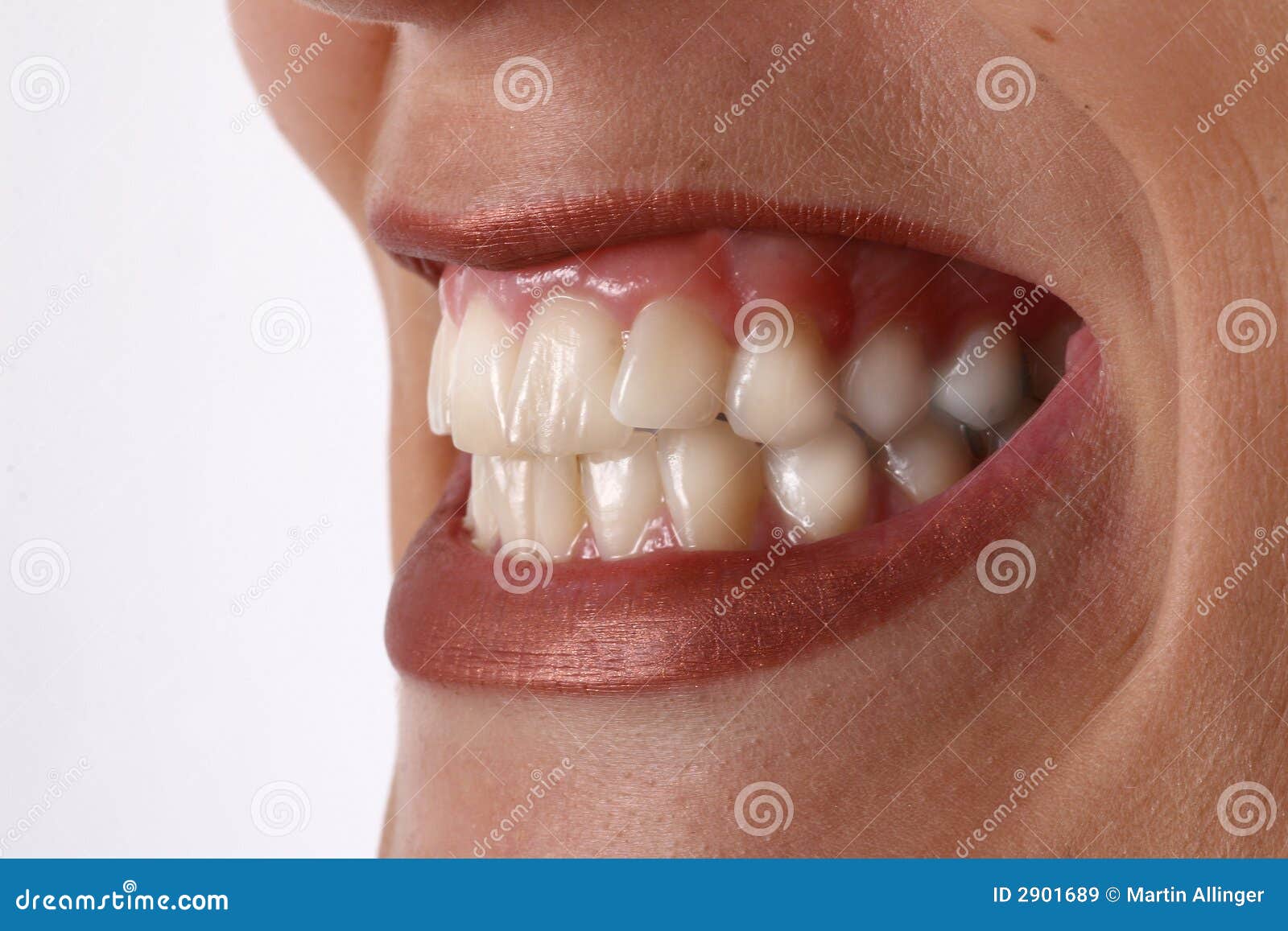 Angry Look stock image. Image of people, hair, rudeness - 2901689