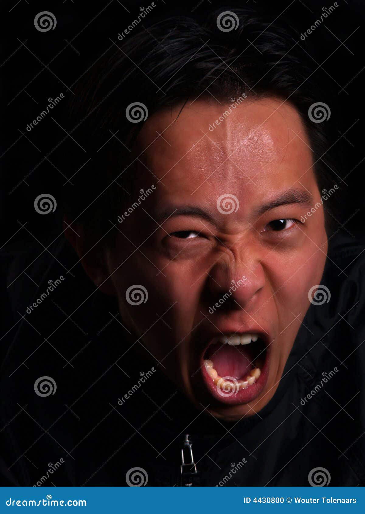 Angry man screaming stock photo. Image of rage, emotion - 4430800