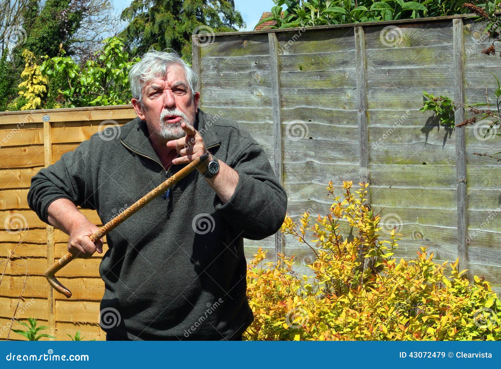 Angry Exasperated Man with a Walking Stick. Stock Image - Image of ...