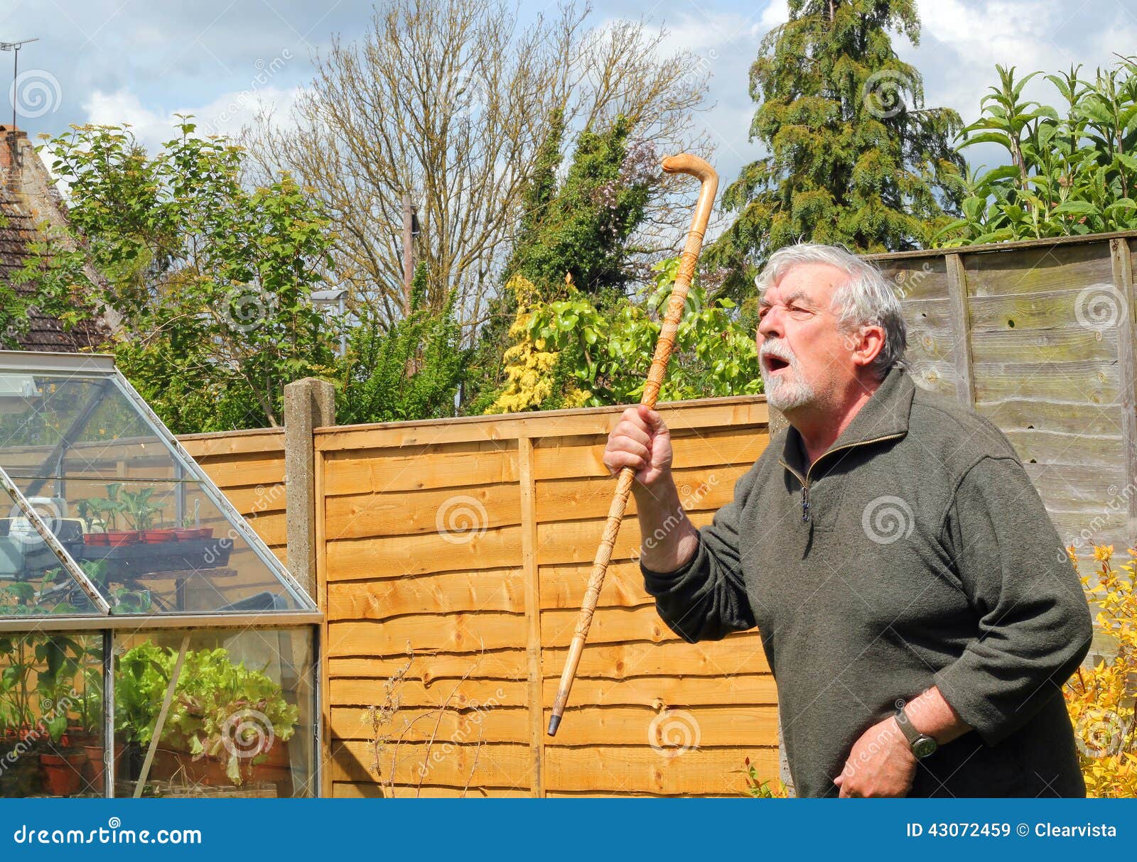 Angry Man with a Walking Stick. Stock Image - Image of defensive, cane ...