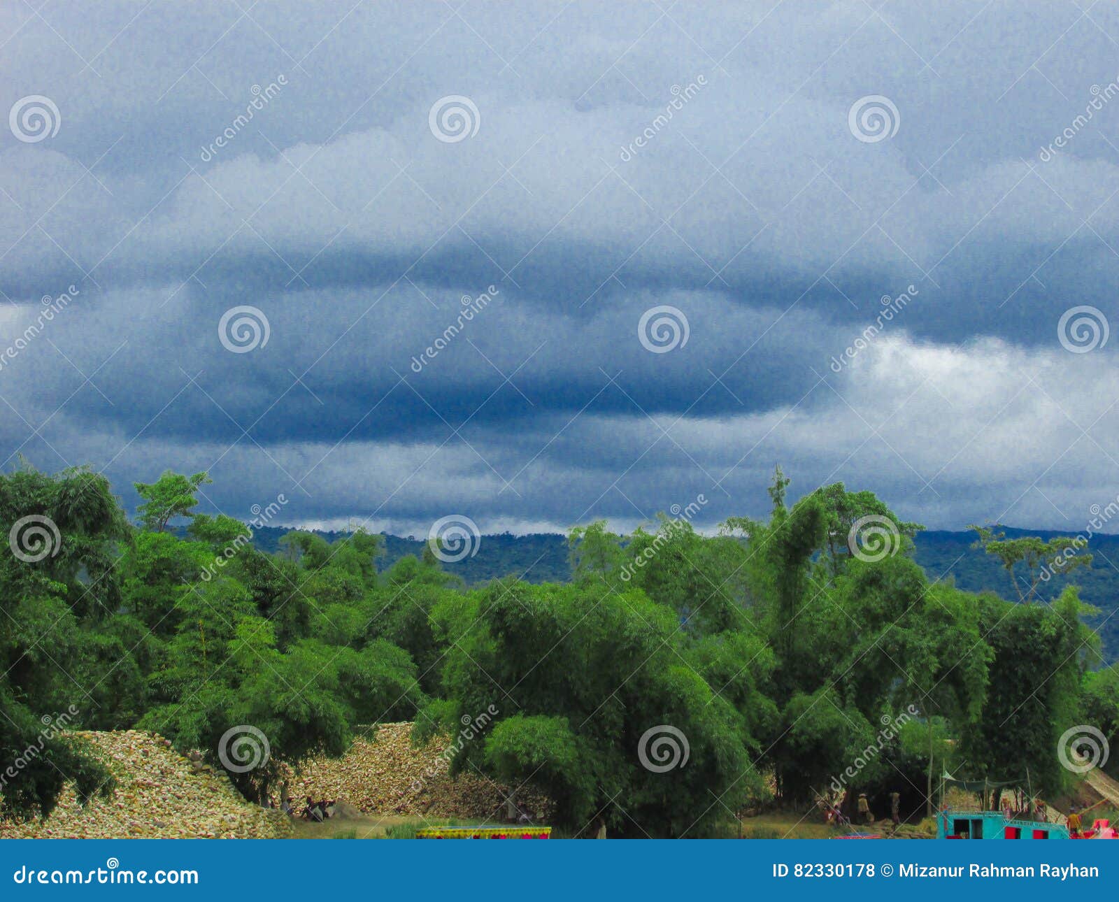 Angry Nature stock photo. Image of nature, tree, angry - 82330178
