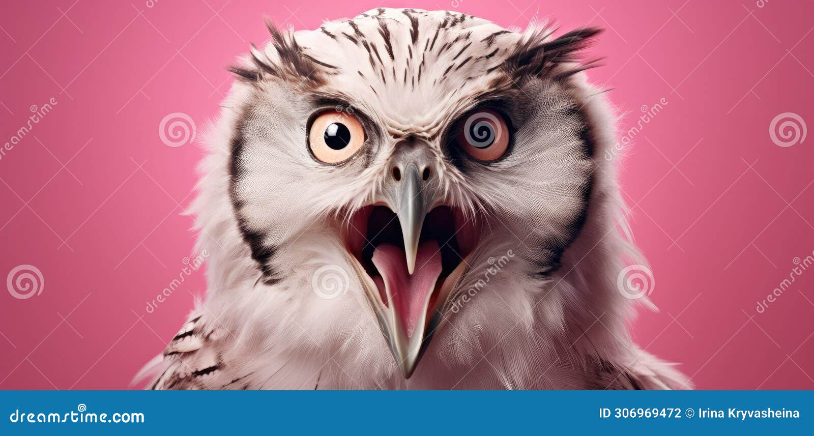 An Angry Owl Looking at the Camera Stock Photo - Image of gaze ...