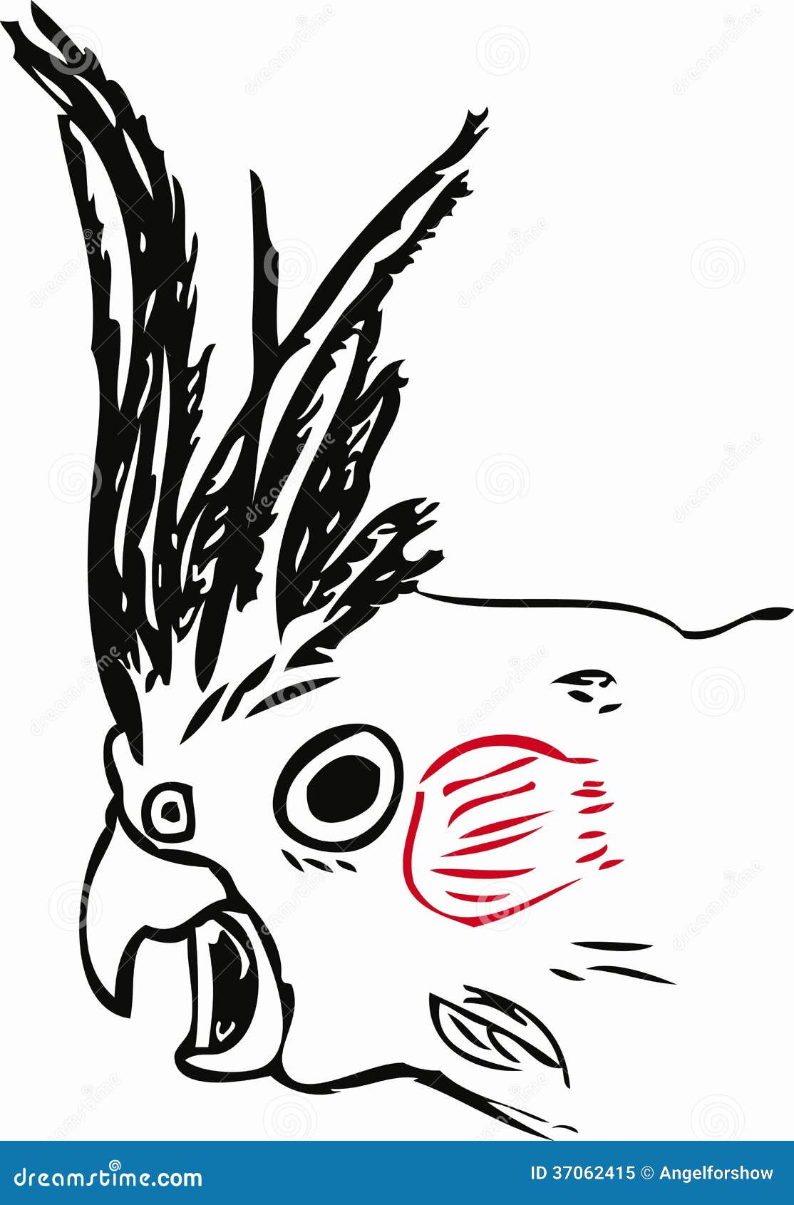 Angry parrot stock illustration. Illustration of cockatiel - 37062415