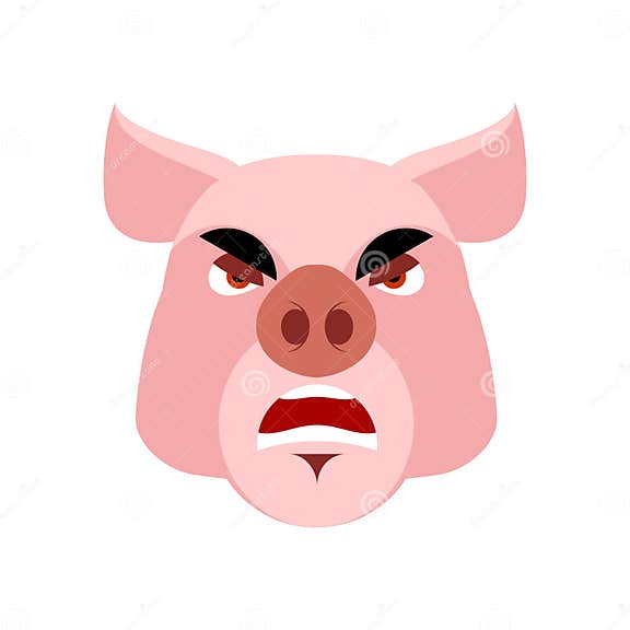 Angry Pig. Evil Boar. Grumpy Hog Stock Vector - Illustration of animal ...