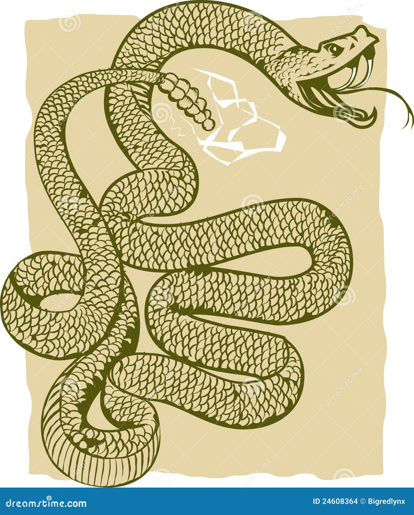 Angry Rattlesnake stock vector. Illustration of rattlesnake - 24608364