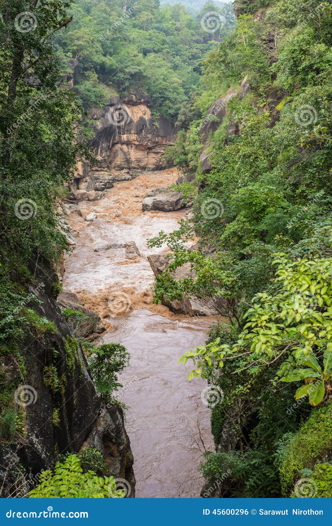 Angry River stock photo. Image of forest, waterway, flood - 45600296
