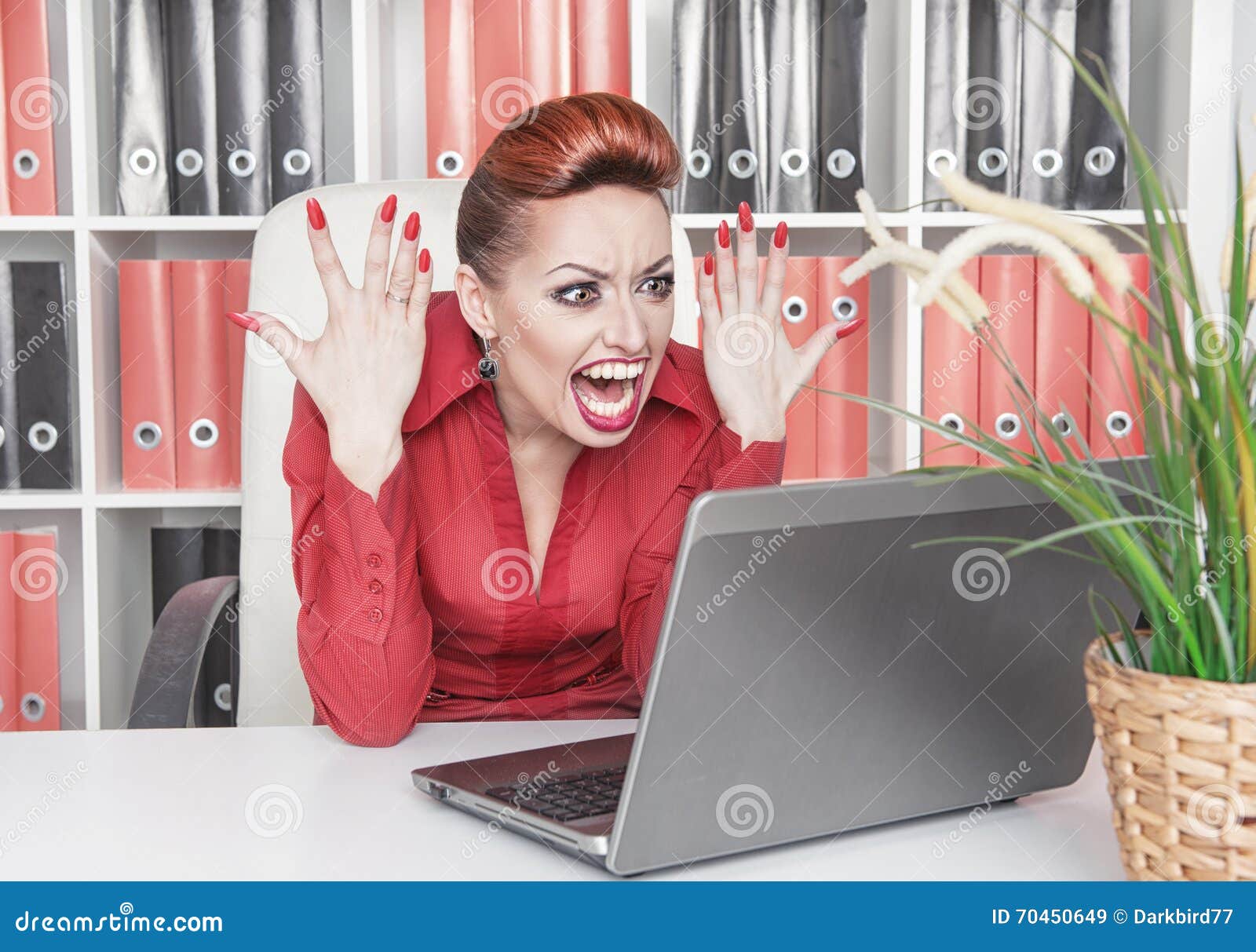 Angry Screaming Business Woman in Office Stock Image - Image of ...