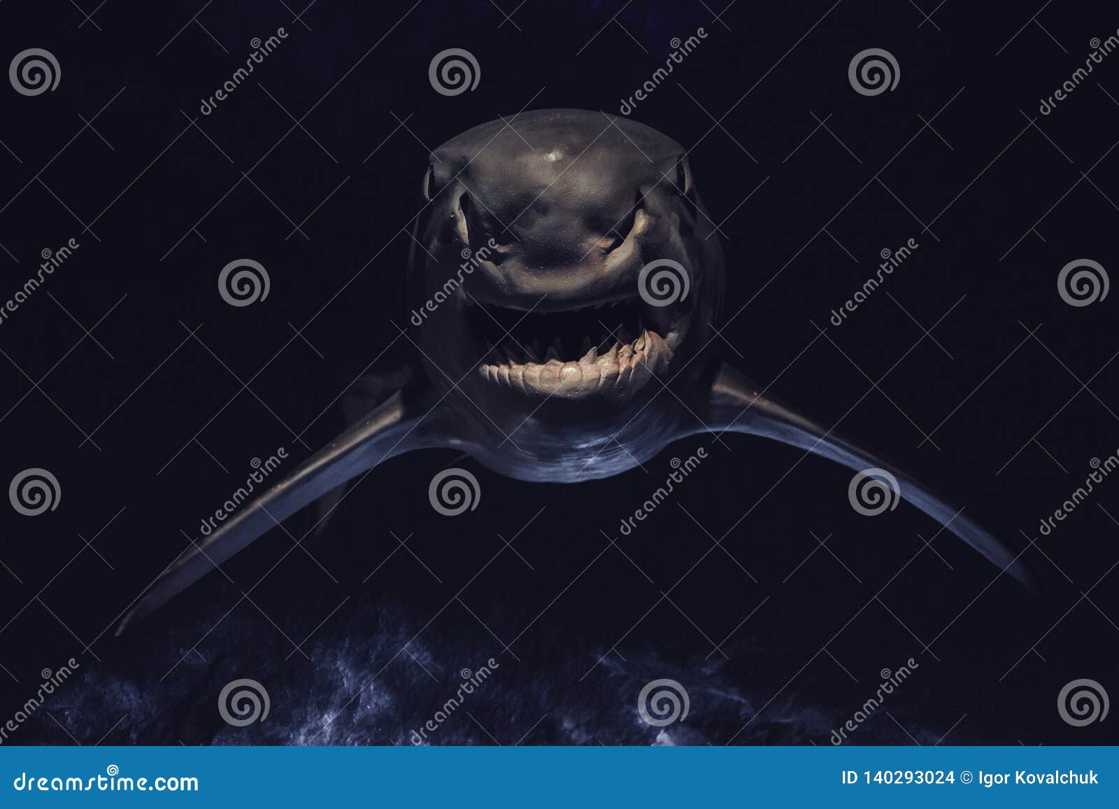 Angry Shark with Sharp Teeth Editorial Stock Image - Image of aquatic ...