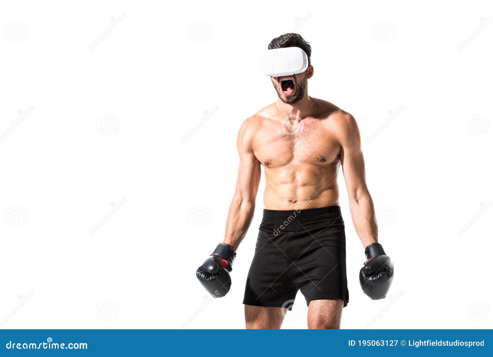 Shirtless Boxer Showing Muscles Isolated On White Royalty-Free Stock ...