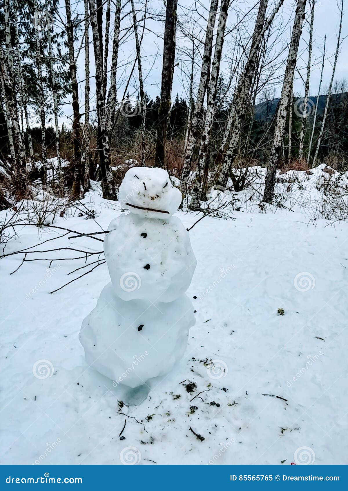 Angry Snowman 1 Stock Photos - Free & Royalty-Free Stock Photos from ...