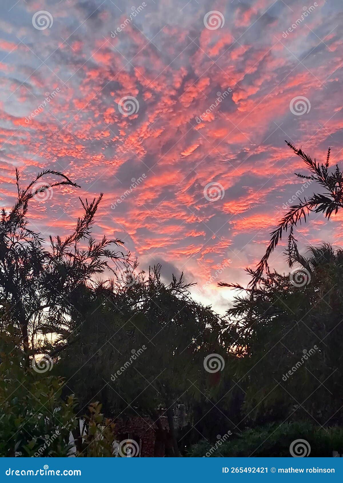 Angry Sunset ! Stock Photo | CartoonDealer.com #101894550