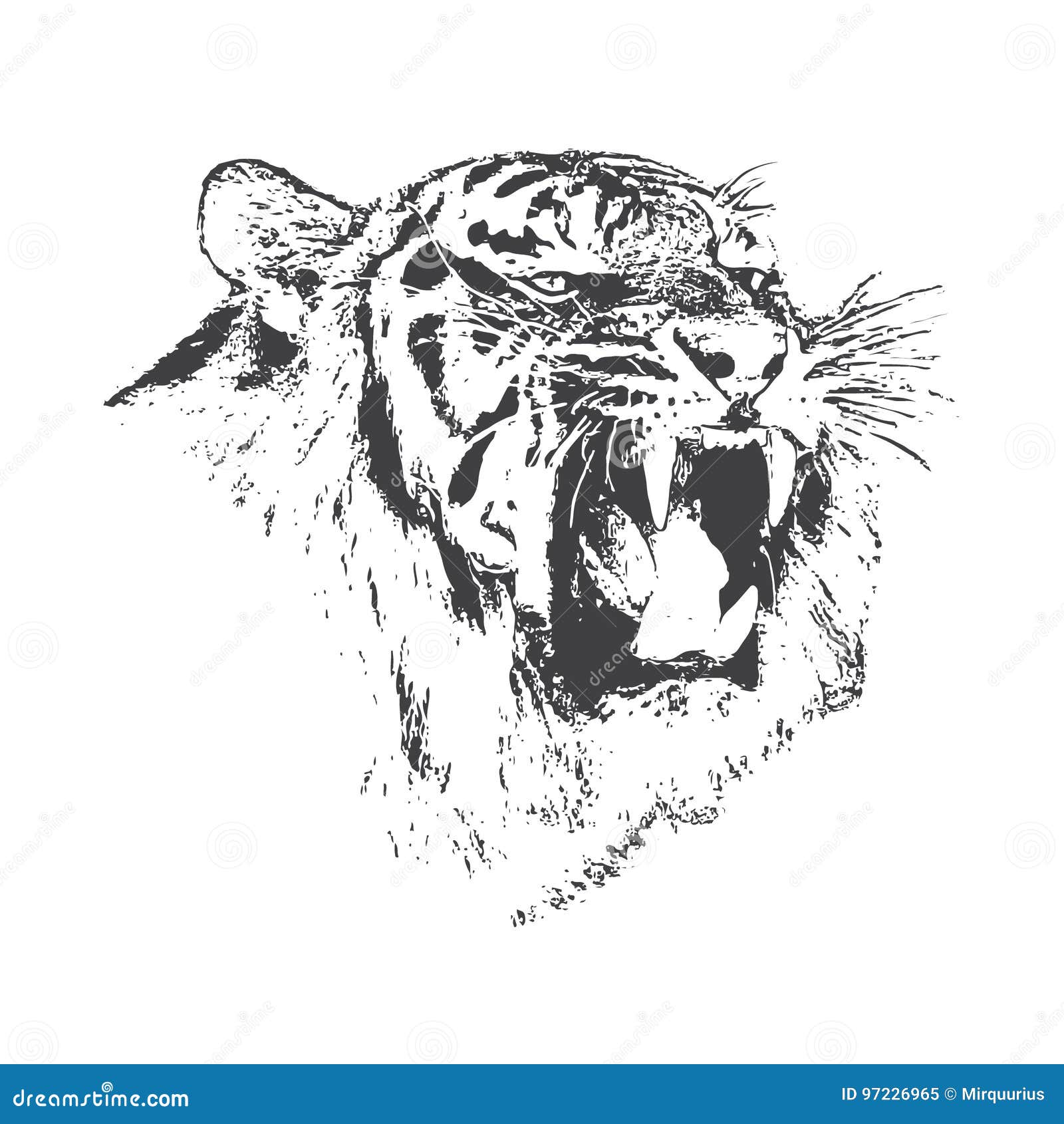 Tiger Growling Muzzle Front View. Ink Black And White Drawing Cartoon ...