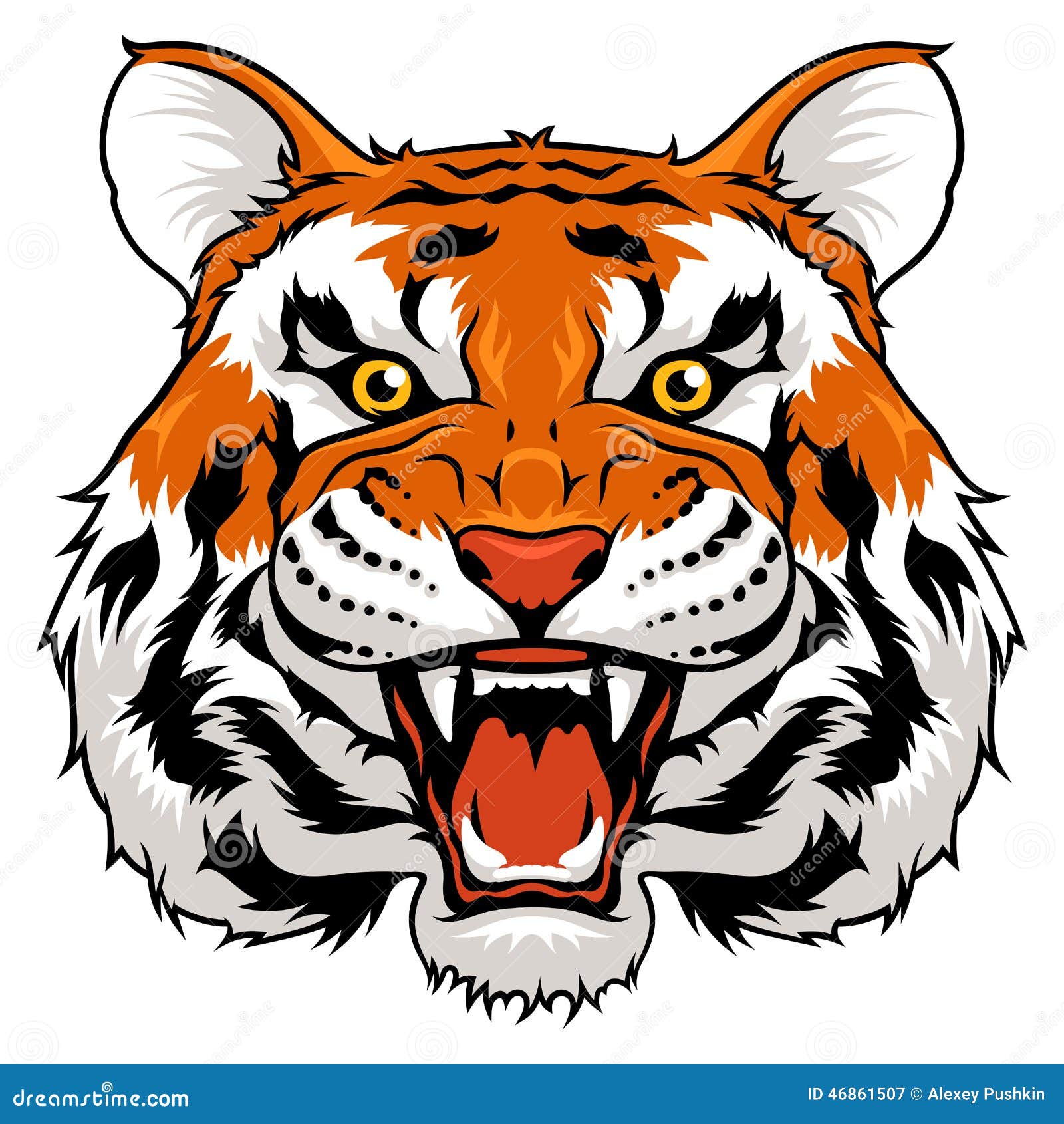 Angry Tiger Face. The Grin Of A Tiger. Detailed Drawing Of A Tiger. The ...