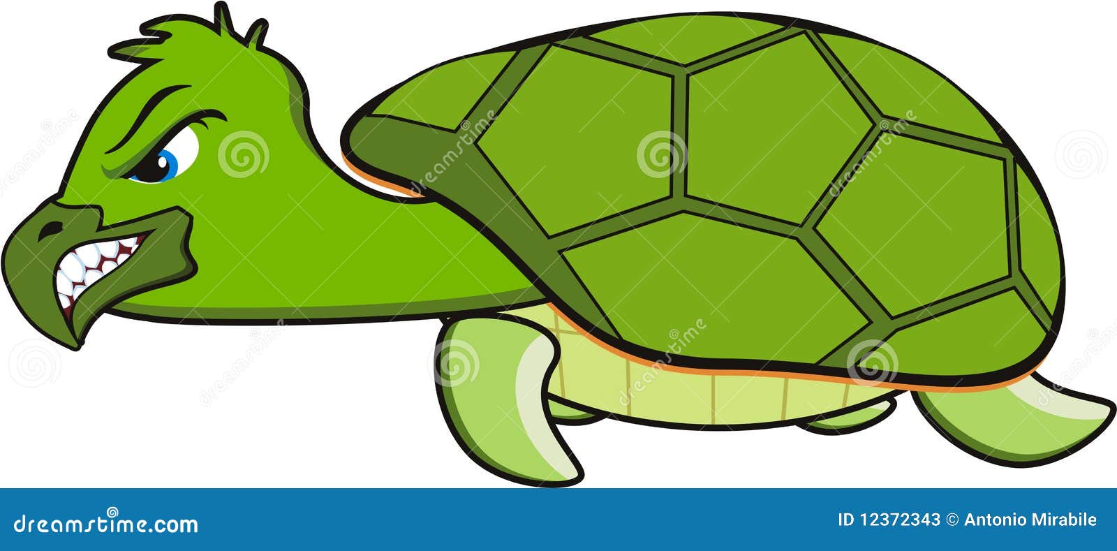 Angry Turtle Stock Photos - Image: 12372343
