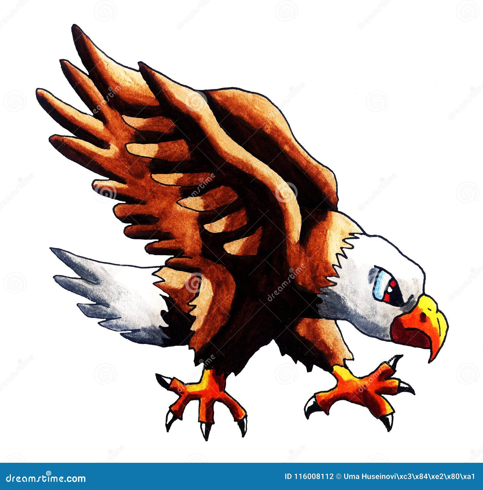 Angry Watercolor Hawk stock illustration. Illustration of claw - 116008112