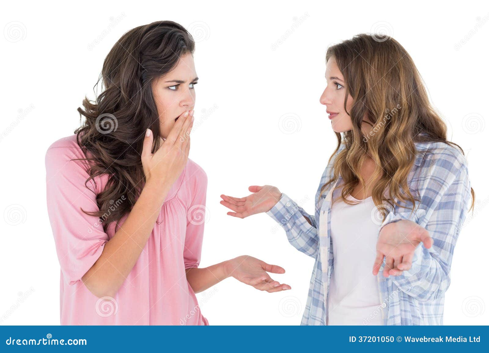 Angry Young Female Friends Having an Argument Stock Photo - Image of ...