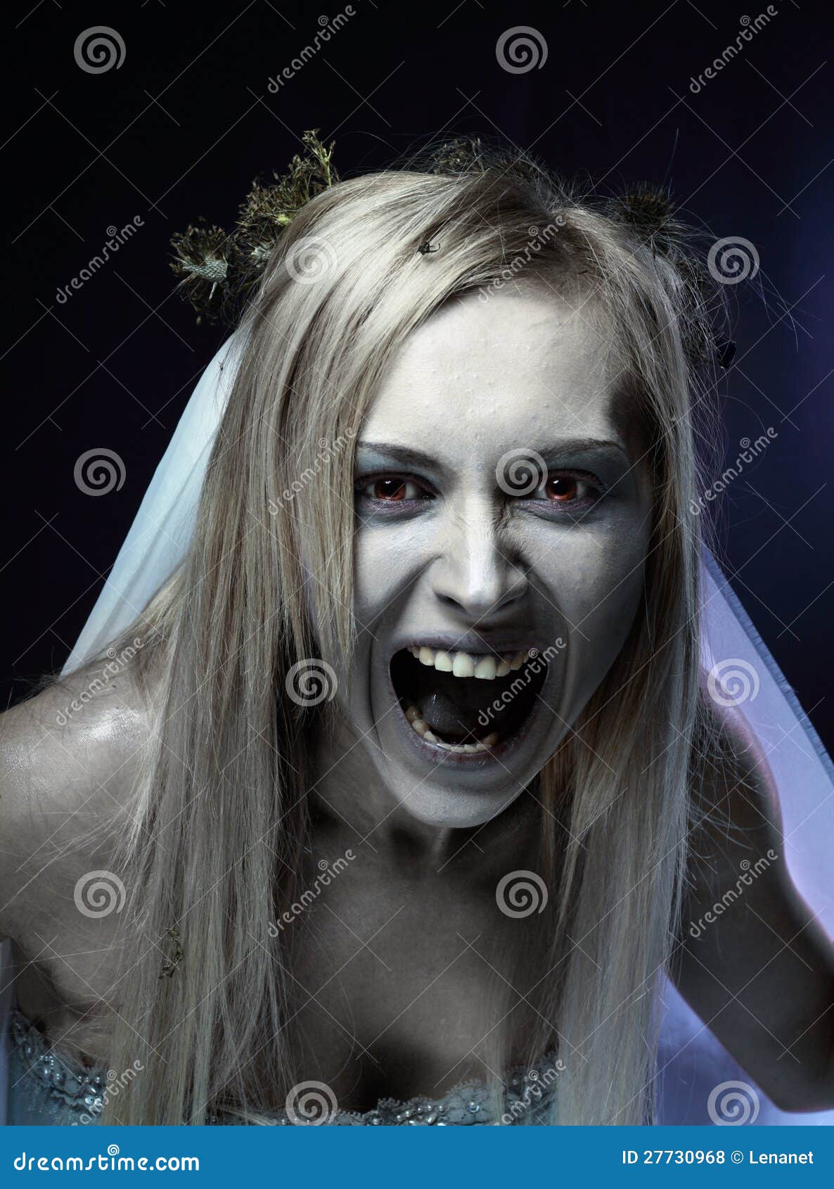 Corpse Bride Stock Photo | CartoonDealer.com #33598638