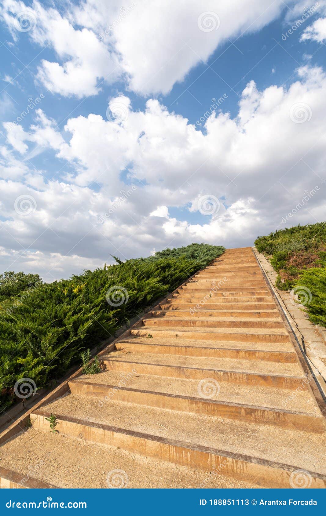 Angular View of Stairs Surrounded by Greenery, Blue Sky with White ...