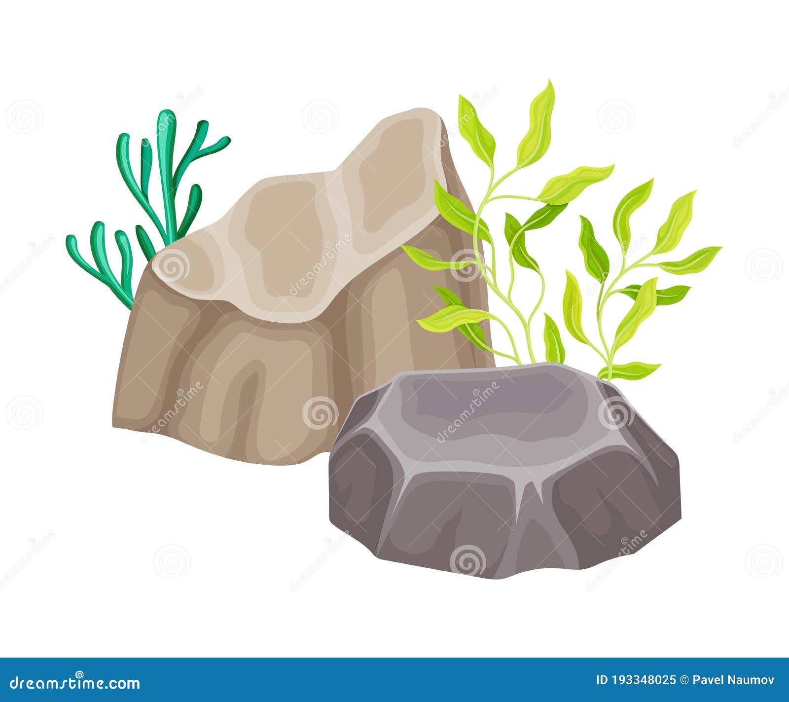 Angulated Sea Stone or Subsurface Rock with Seaweeds and Algae Vector ...