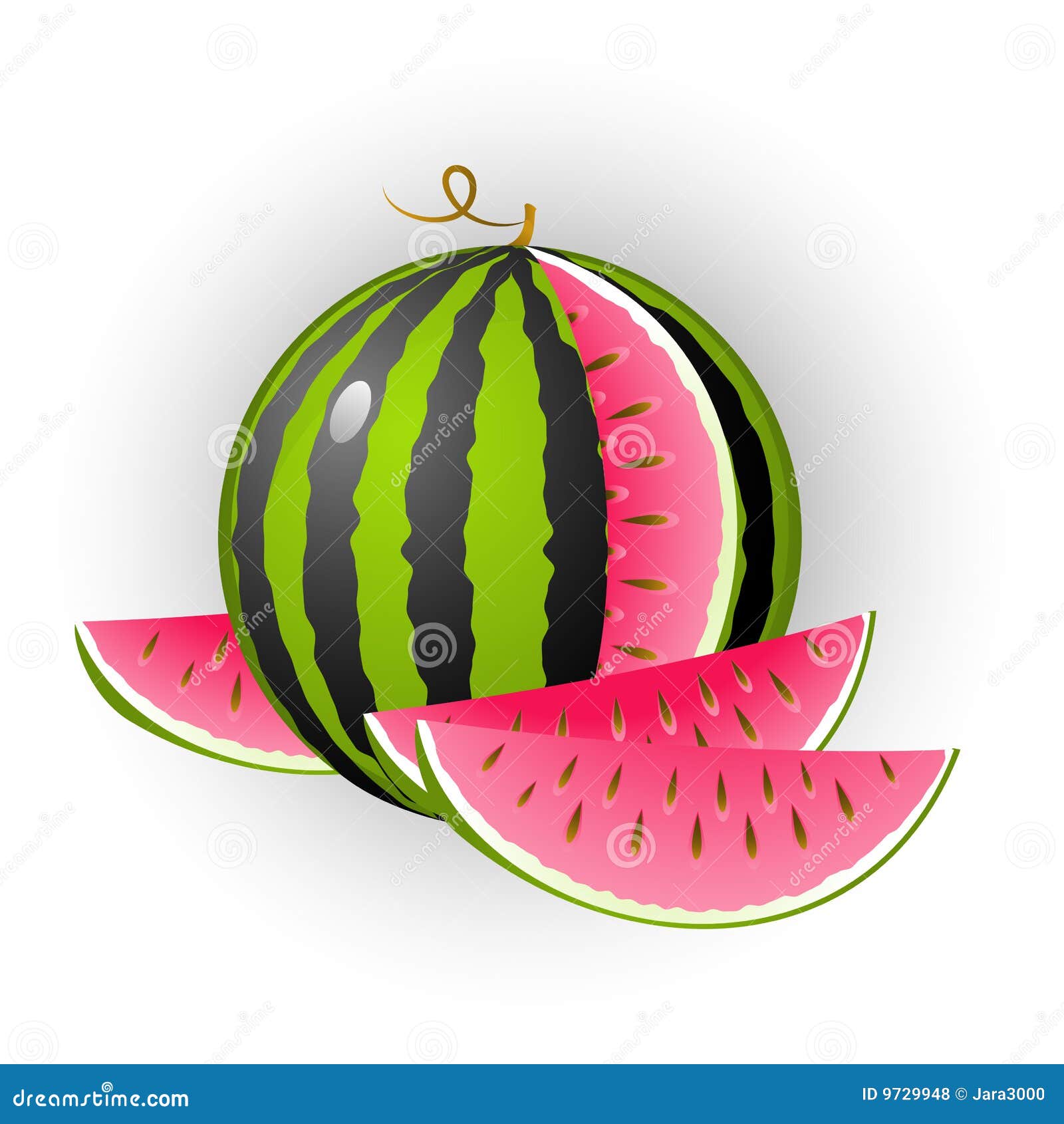 Anguria illustrazione vettoriale. Illustrazione di pittura - 9729948