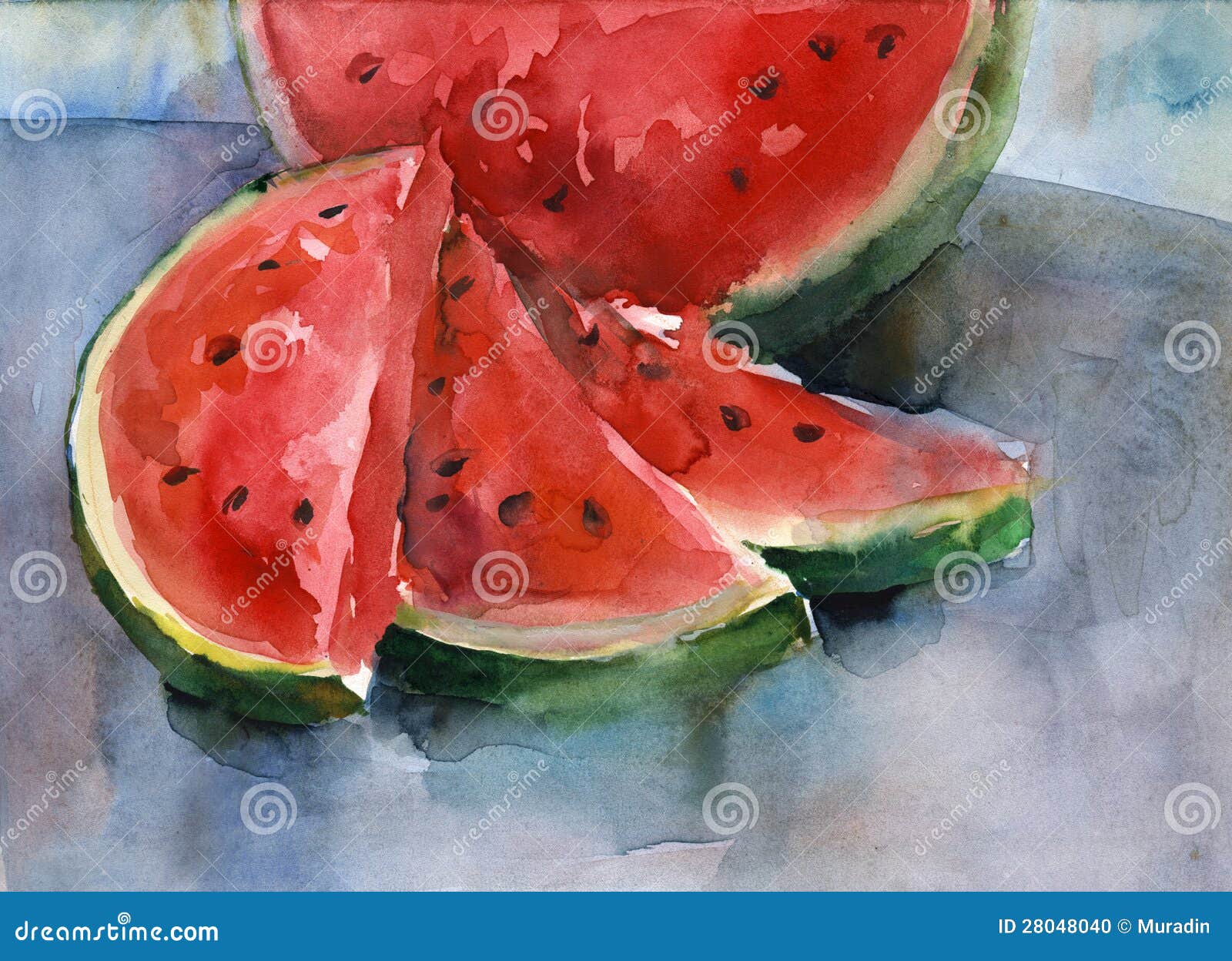 Anguria dell'acquerello illustrazione di stock. Illustrazione di ...