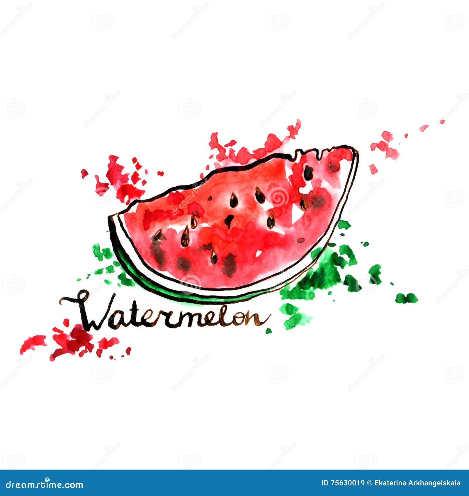 Anguria disegnata a mano illustrazione di stock. Illustrazione di ...