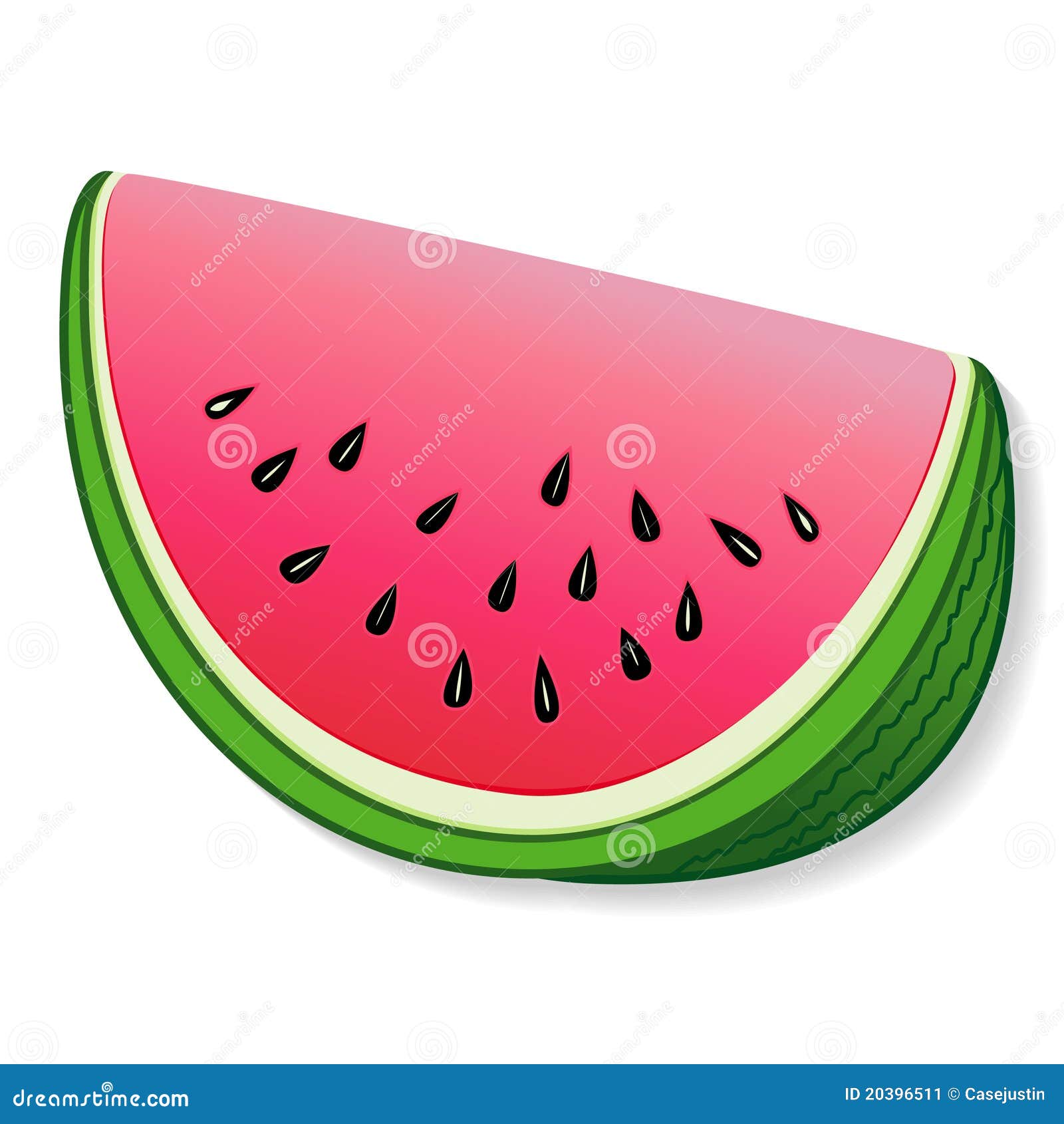 Anguria fresca illustrazione vettoriale. Illustrazione di rosa - 20396511