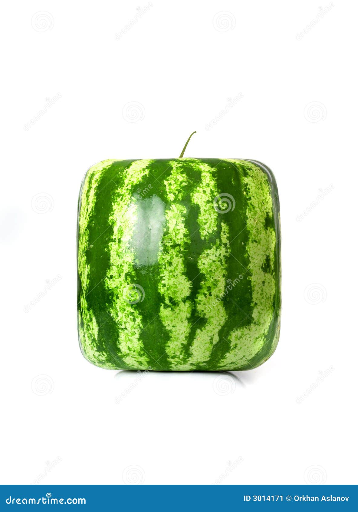 Anguria quadrata isolata immagine stock. Immagine di seme - 3014171
