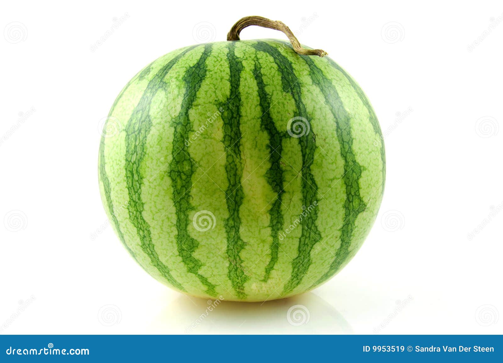 Anguria verde di Fres immagine stock. Immagine di frutte - 9953519