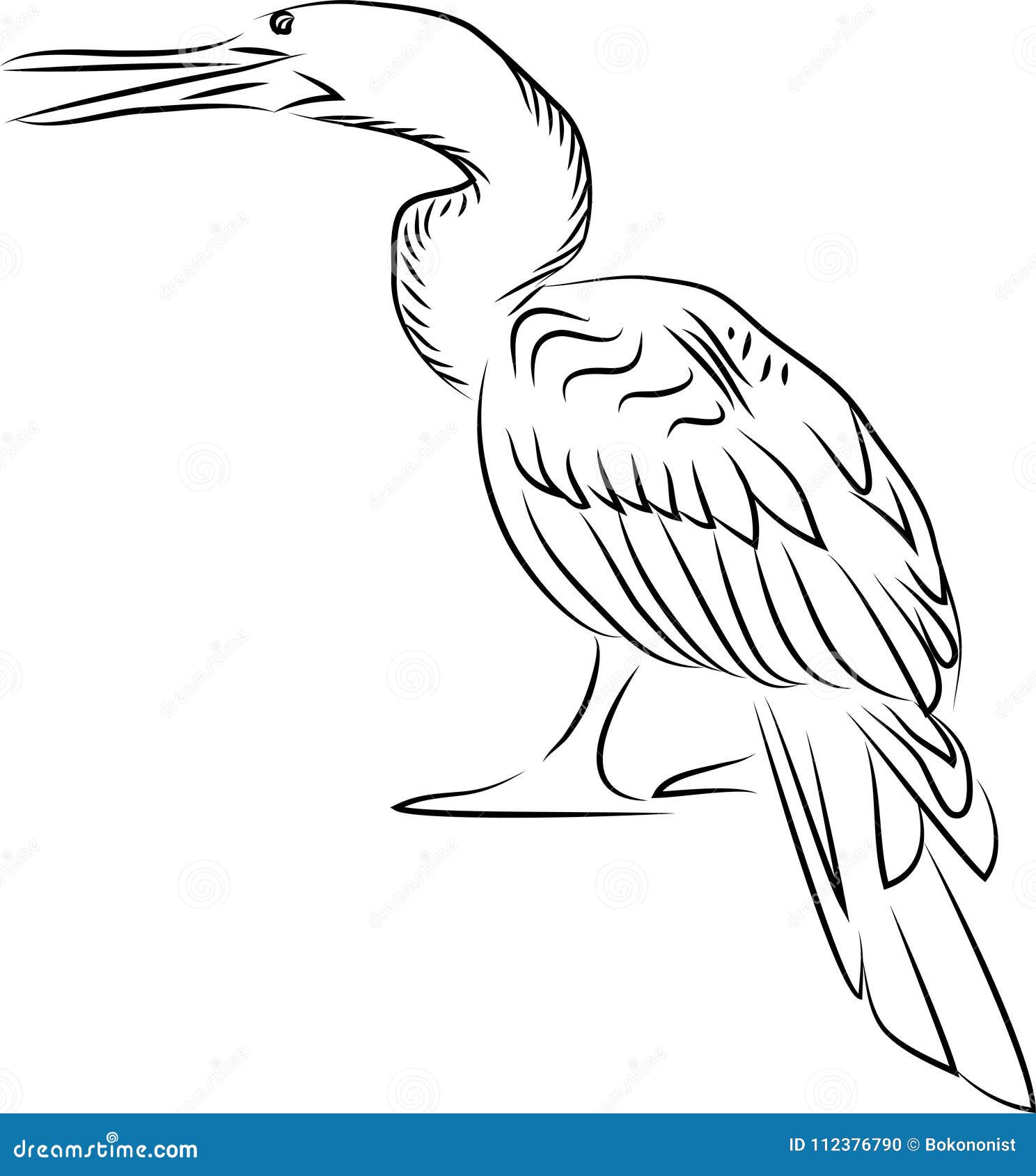 Anhinga or darter stock vector. Illustration of pond - 112376790