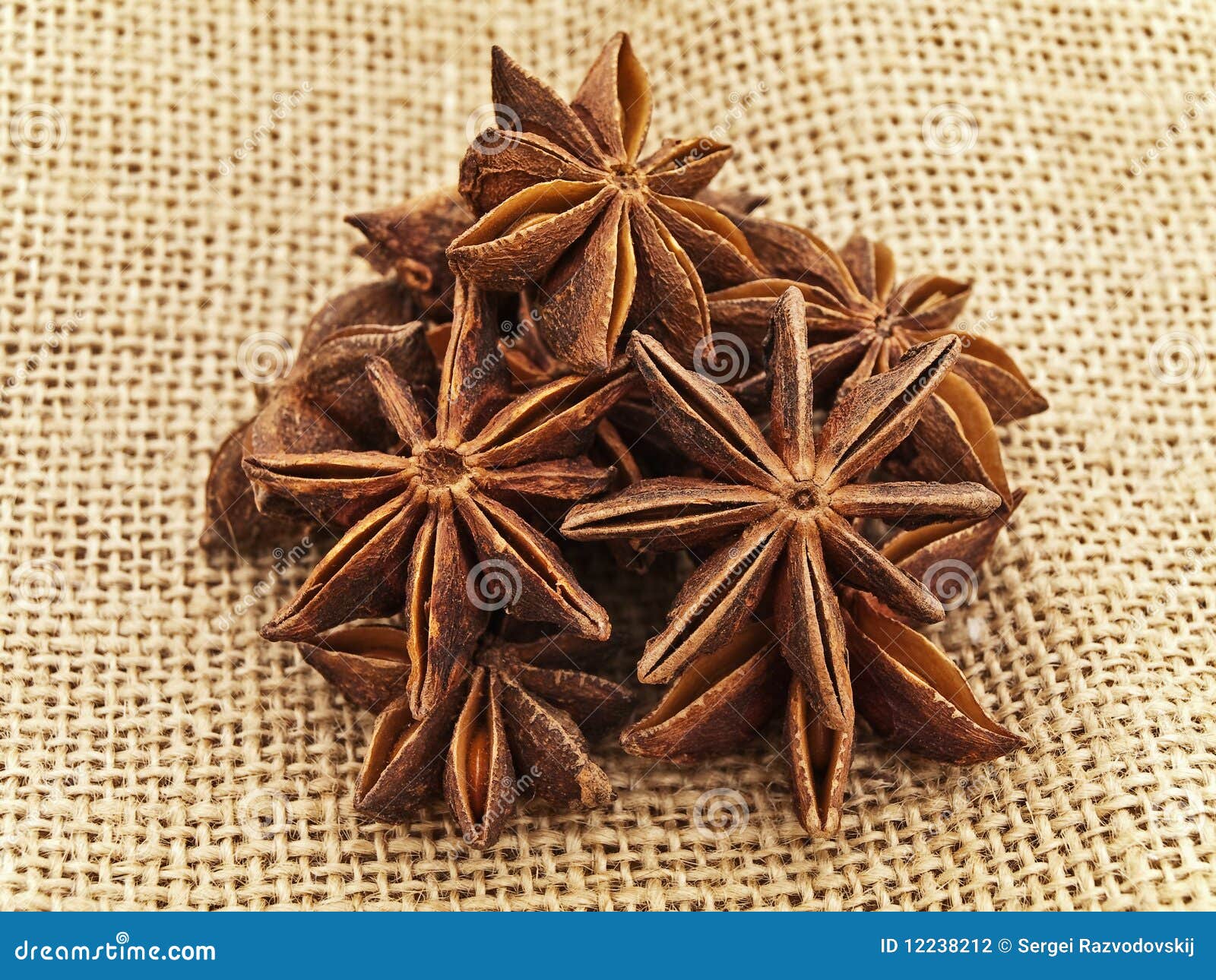 Anice fotografia stock. Immagine di fragrante, asciutto - 12238212