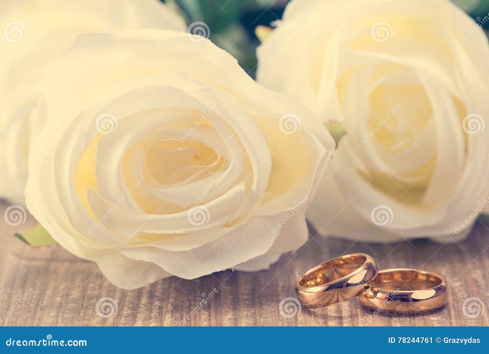 Anillos De Bodas Con Las Rosas Blancas Imagen de archivo - Imagen de ... Anillos De Bodas Con Las Rosas Blancas Imagen de archivo - Imagen de ...